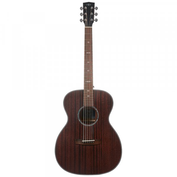 Acoustic Guitars