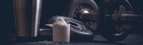 Buy Protein Powders Online in India | Best Protein Supplements Store Online