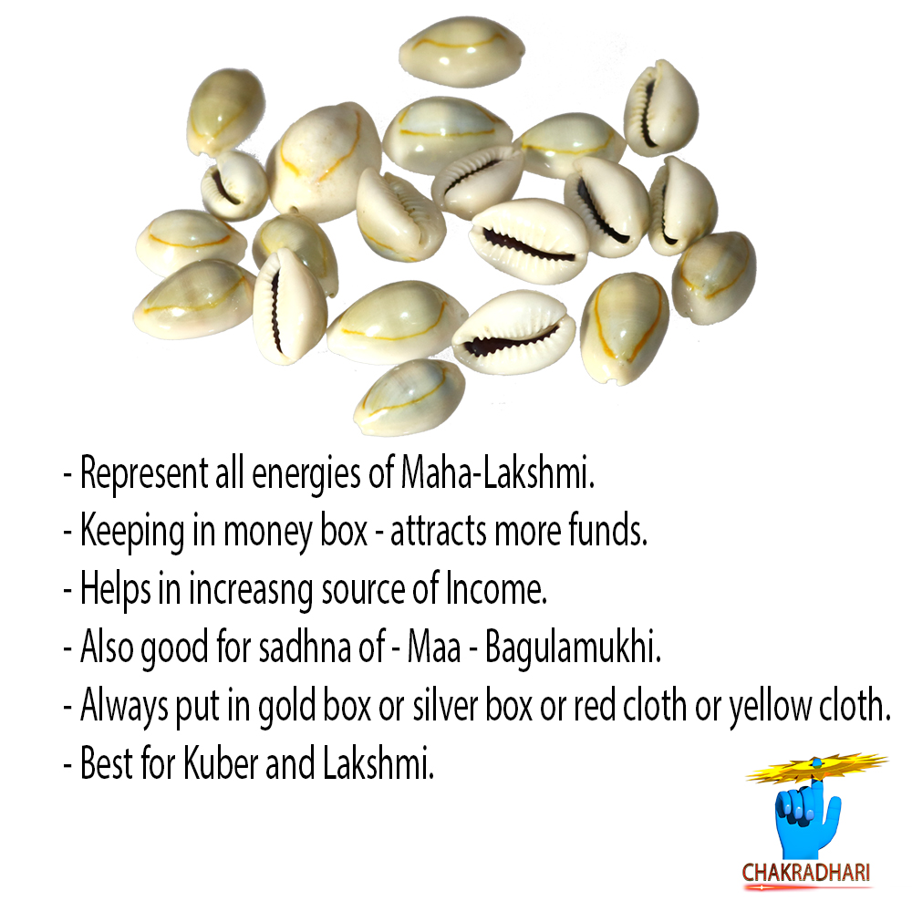 Yellow Lakshmi Koudi (SET OF 21) – पीली लक्ष्मी कौड़ी SET OF 21