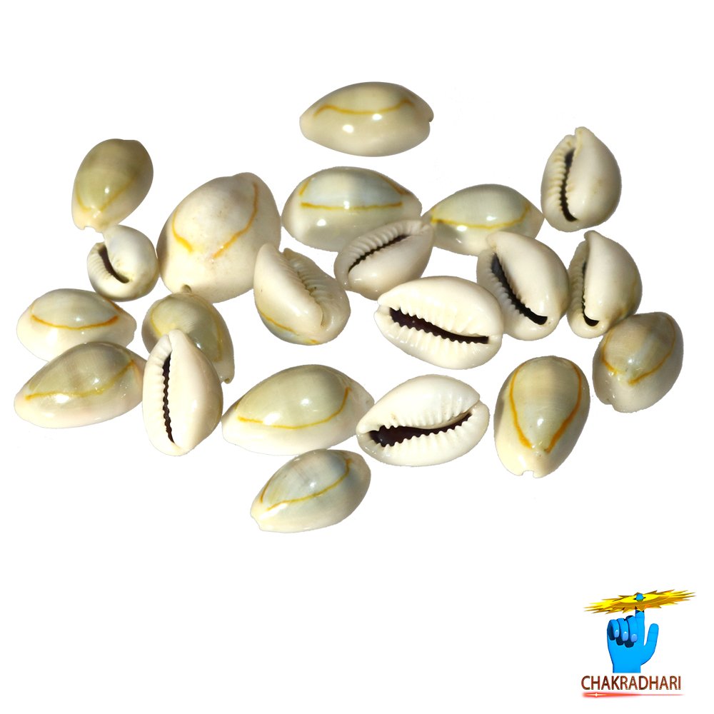 Yellow Lakshmi Koudi (SET OF 21) – पीली लक्ष्मी कौड़ी SET OF 21