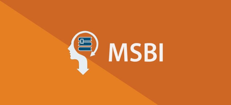 Roles and Responsibilities of MSBI Developer