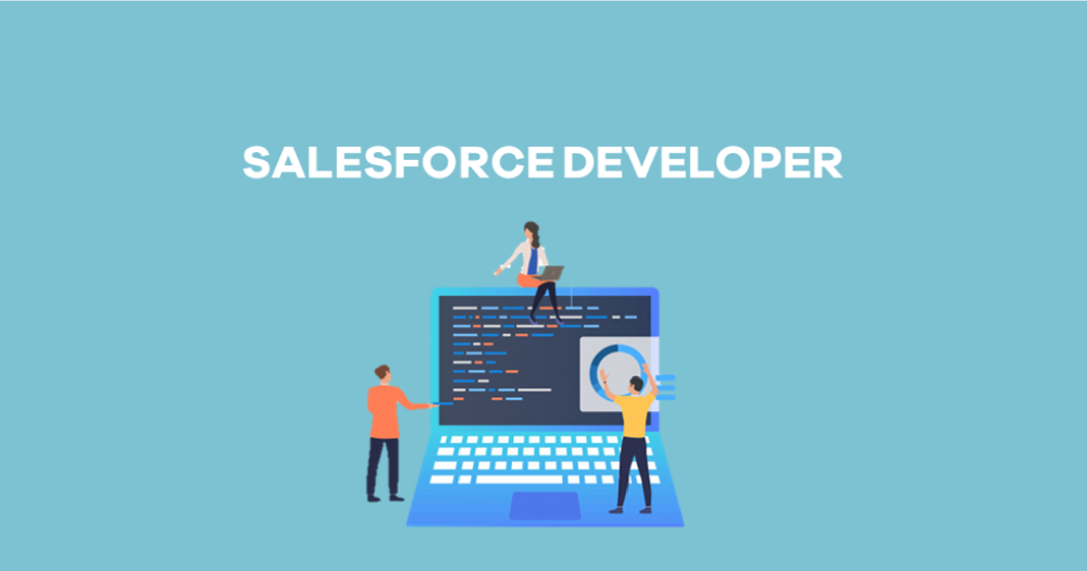 Salesforce Developer Tutorial A Guide For Beginners