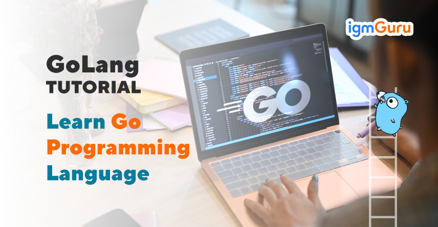 Golang Tutorial Learn Go Programming Language
