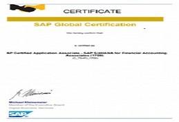 SAP Simple Finance Training and Course Online - Updated [June 2024]