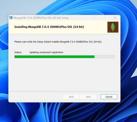 Beginner’s Guide to Installing MongoDB on Windows