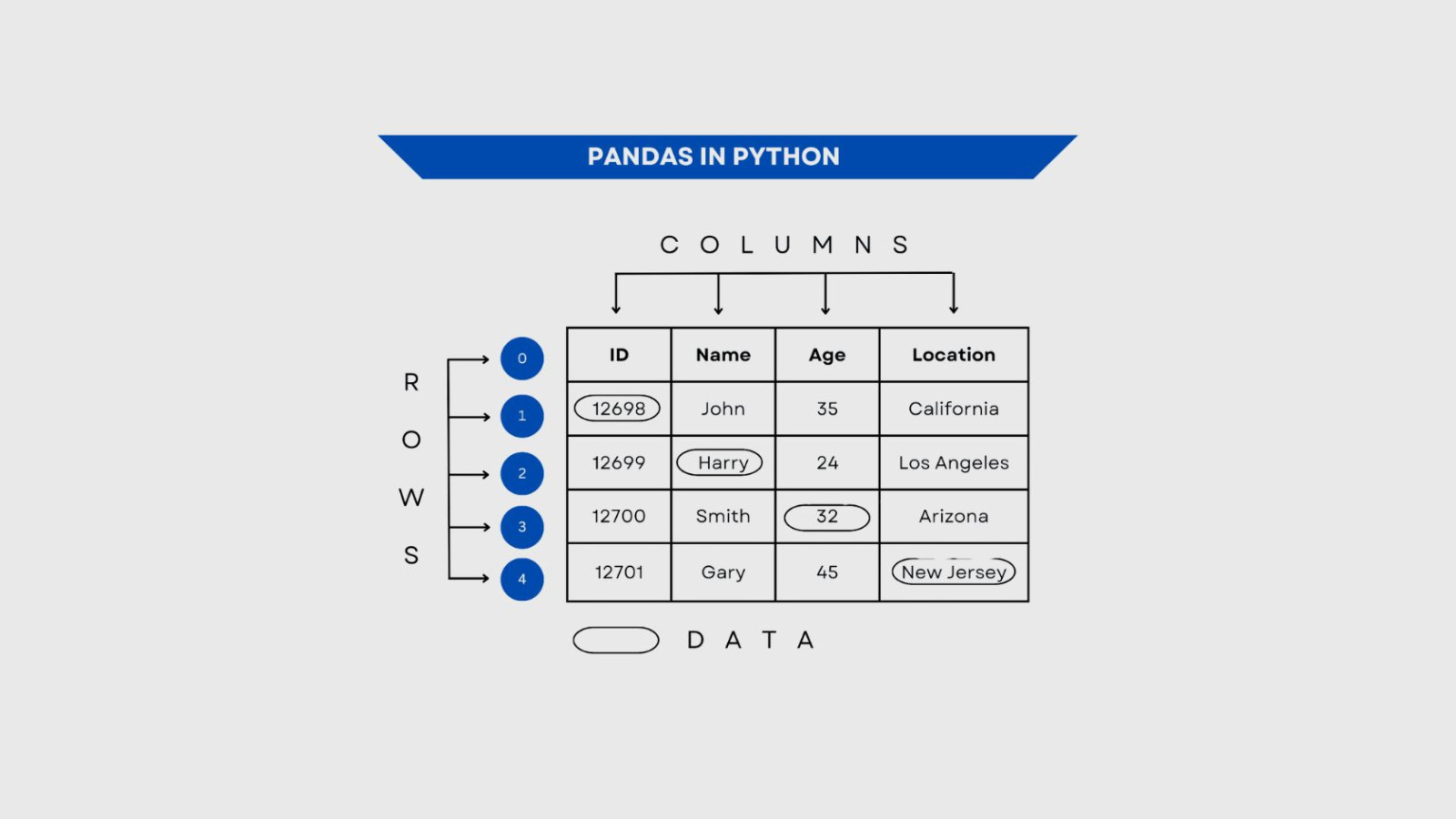 What is Pandas in Python? A Complete Guide for Beginners