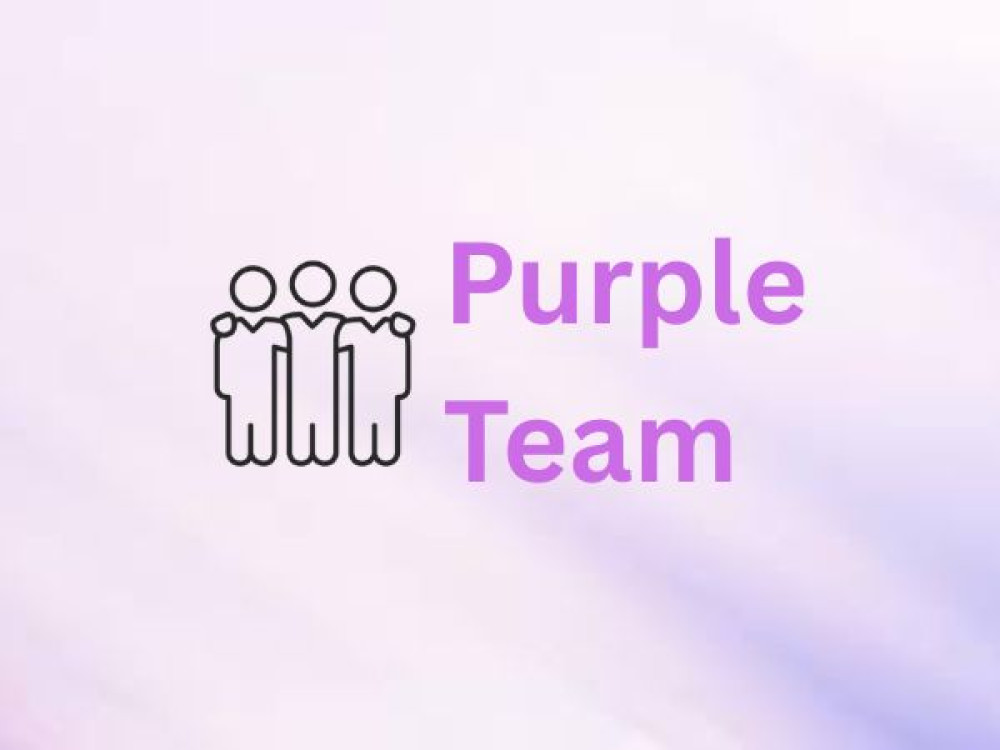 Purple Team Training Online Certification Course