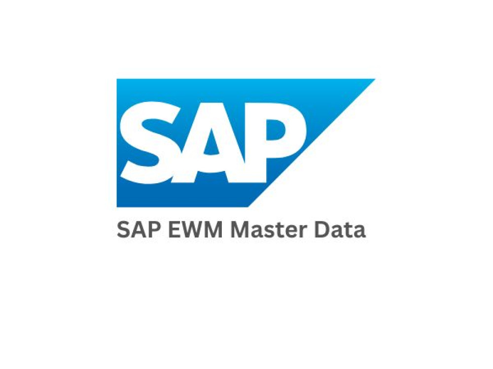 SAP EWM Master Data | Maintaining Product & Business Partner Data