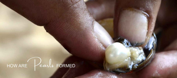 How Are Pearls Formed? The Birth of Moti Gems
