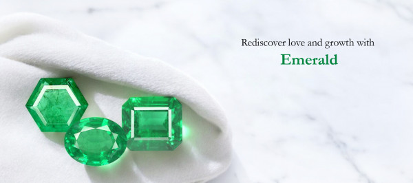 The Emerald Embrace: How Aarav Rediscovered Love and Growth
