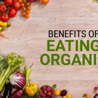 Organic Food: Why organic food products is important in India?