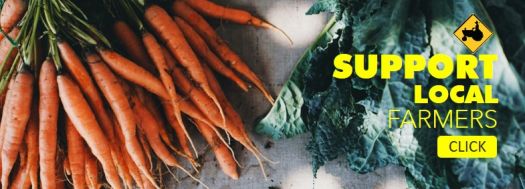 Shop Healthy High Protein Foods Online - Rootz Organics