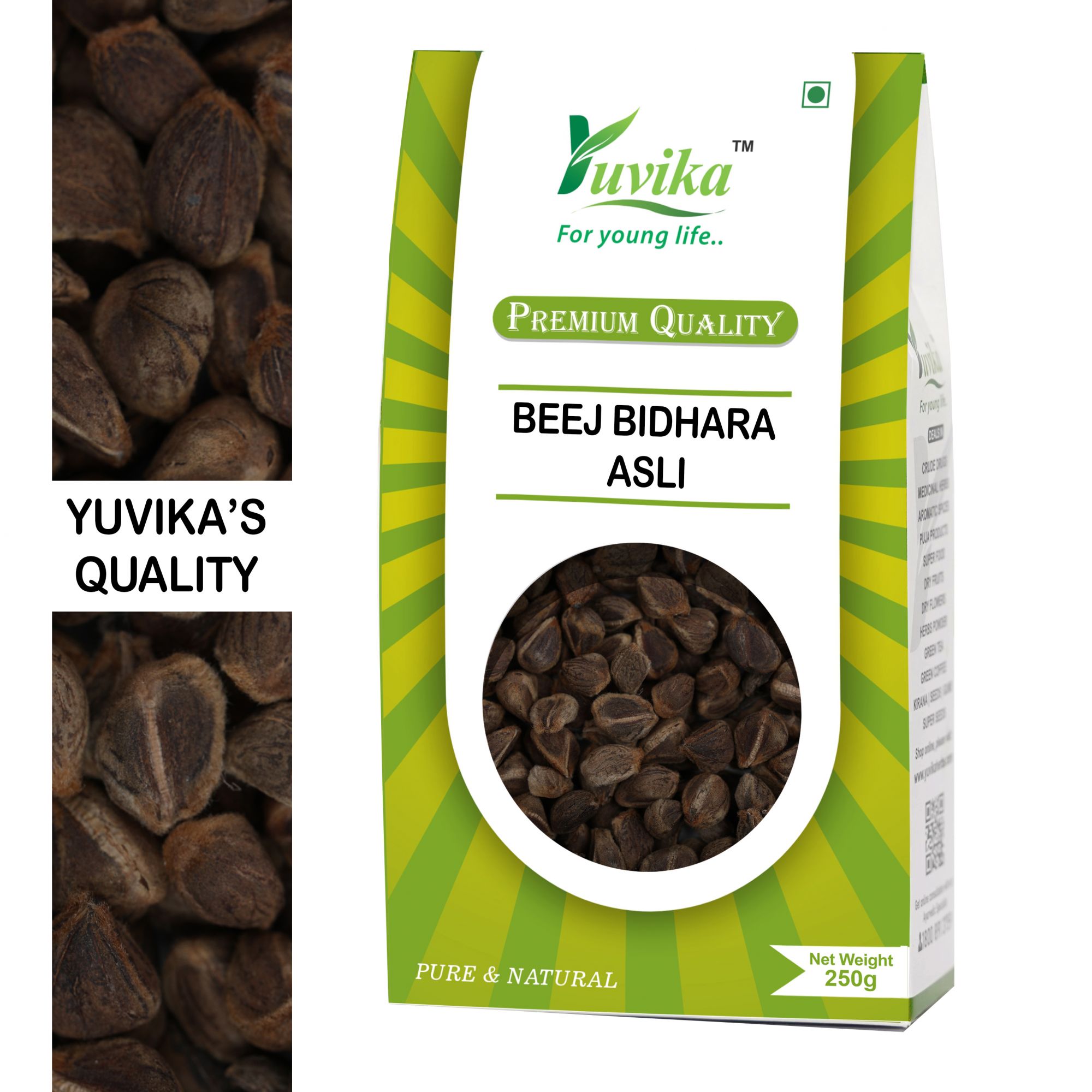Beej Bidhara Asli - Vidhara Seeds - Vruddhadaru (250g)